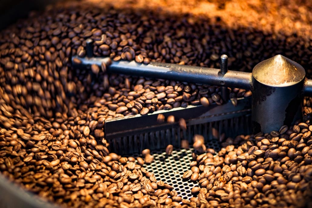 Coffee processing methods: which ones are they and how do they work?